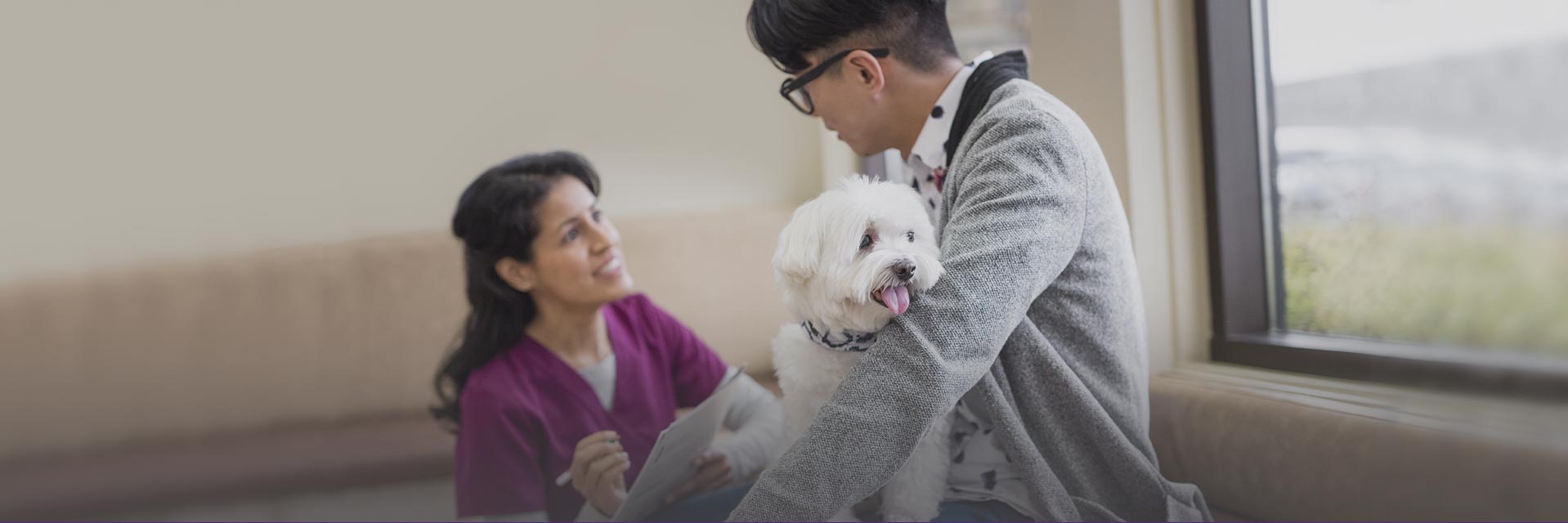 The Truth About Bravecto - Bravecto®